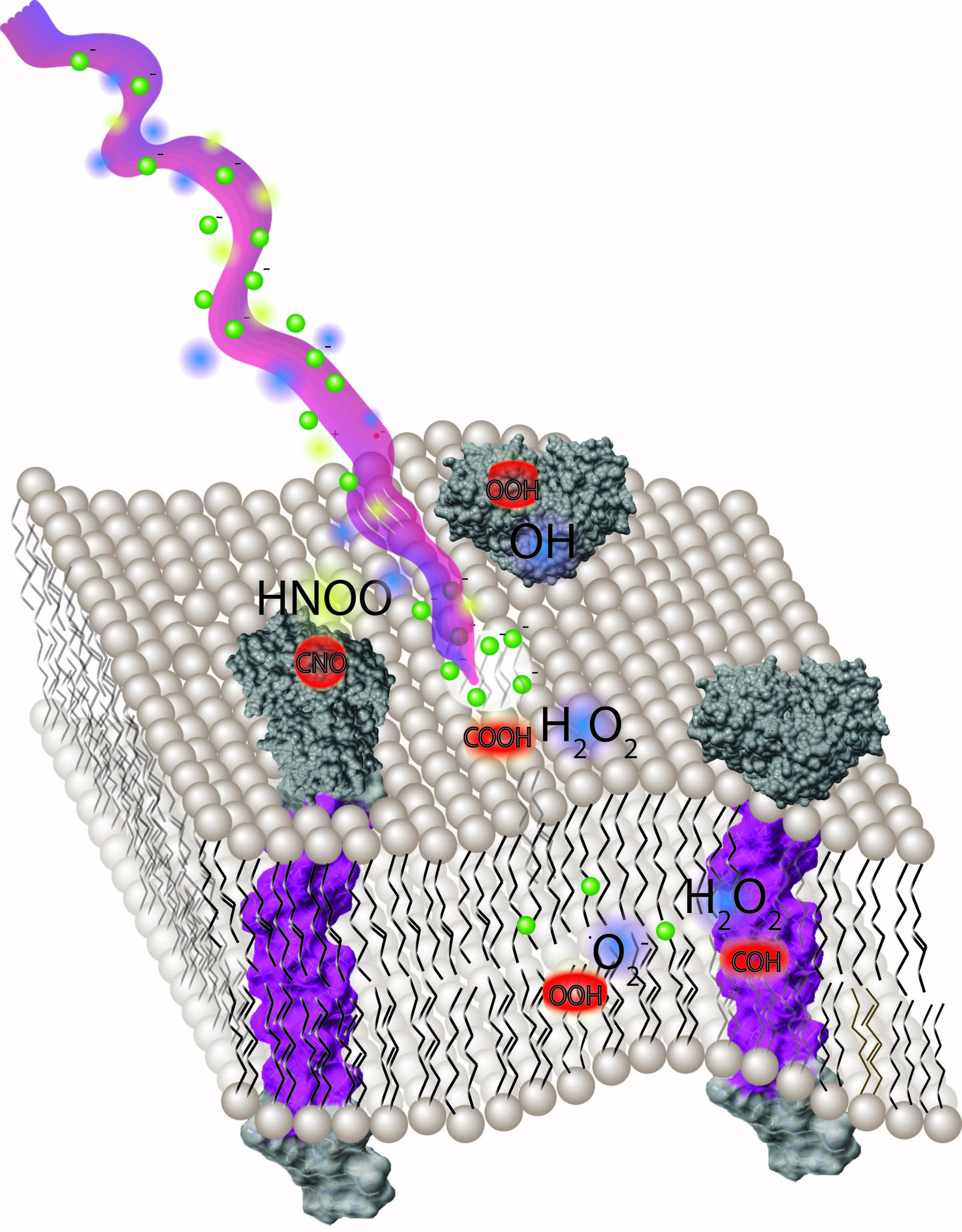 A-CAPTIC - Alliance of Cold Atmospheric Plasma for the Treatment of ...