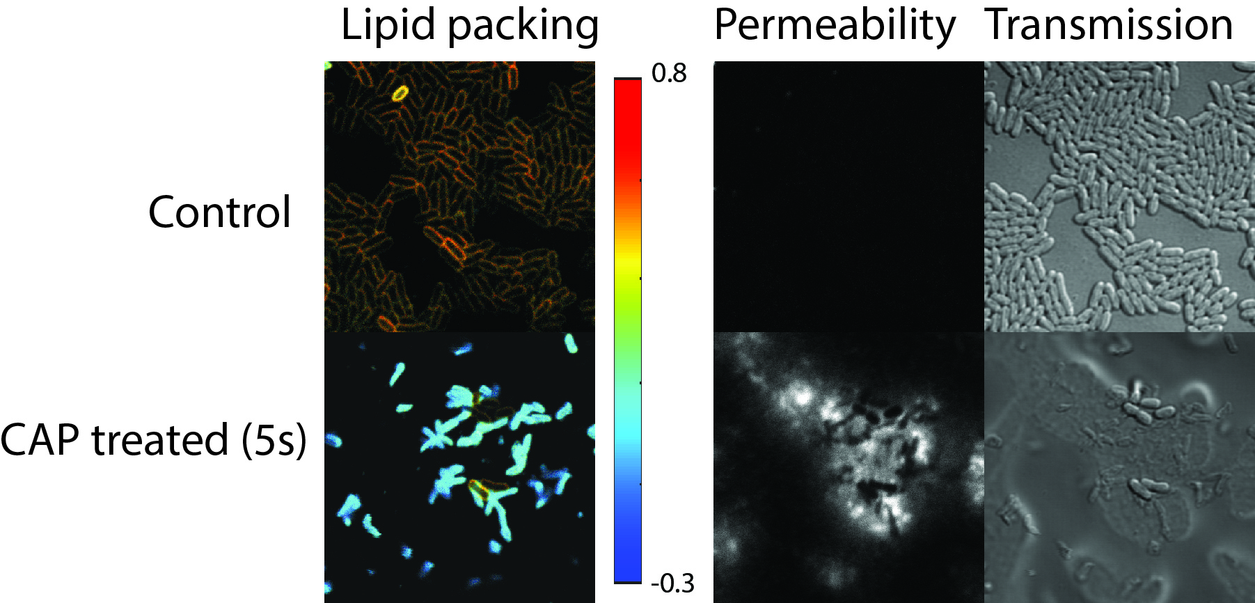A-CAPTIC – Alliance of Cold Atmospheric Plasma for the Treatment of ...
